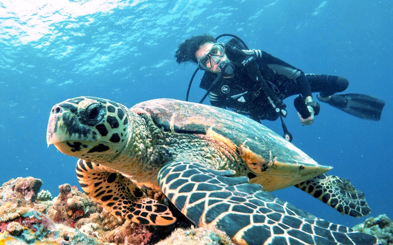 Top Underwater Diving Spots in Maldives for Couples